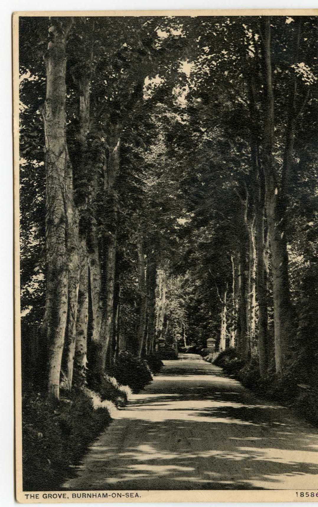 Around and About | Capture Burnham